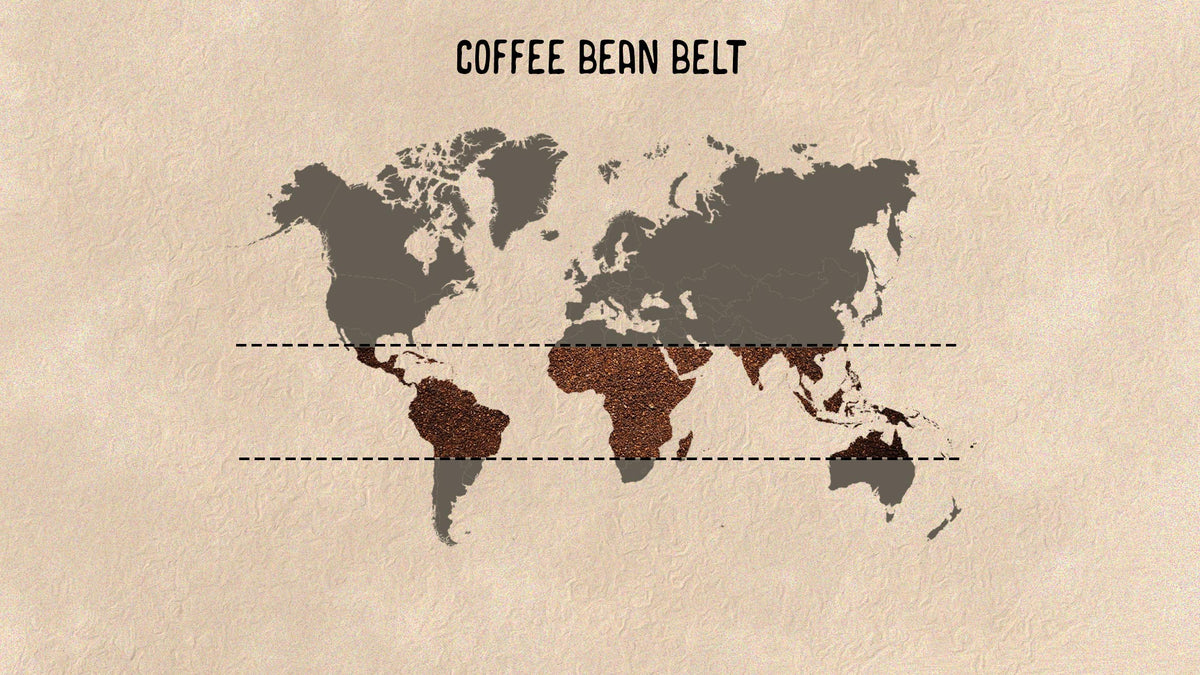 The Imaginary Band around the World – Coffee Bean Belt – Coffeeza